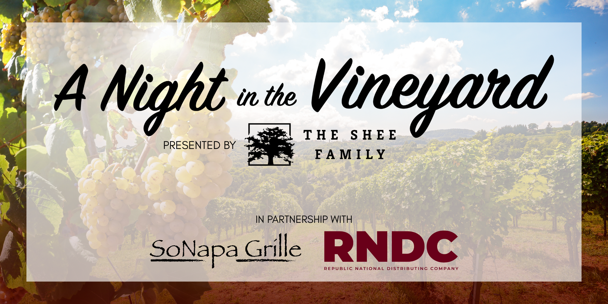2025 A Night in the Vineyard Recap - Monique Burr Foundation